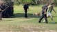 Police in ‘hop pursuit’ of runaway kangaroo through Texas neighbourhood ...