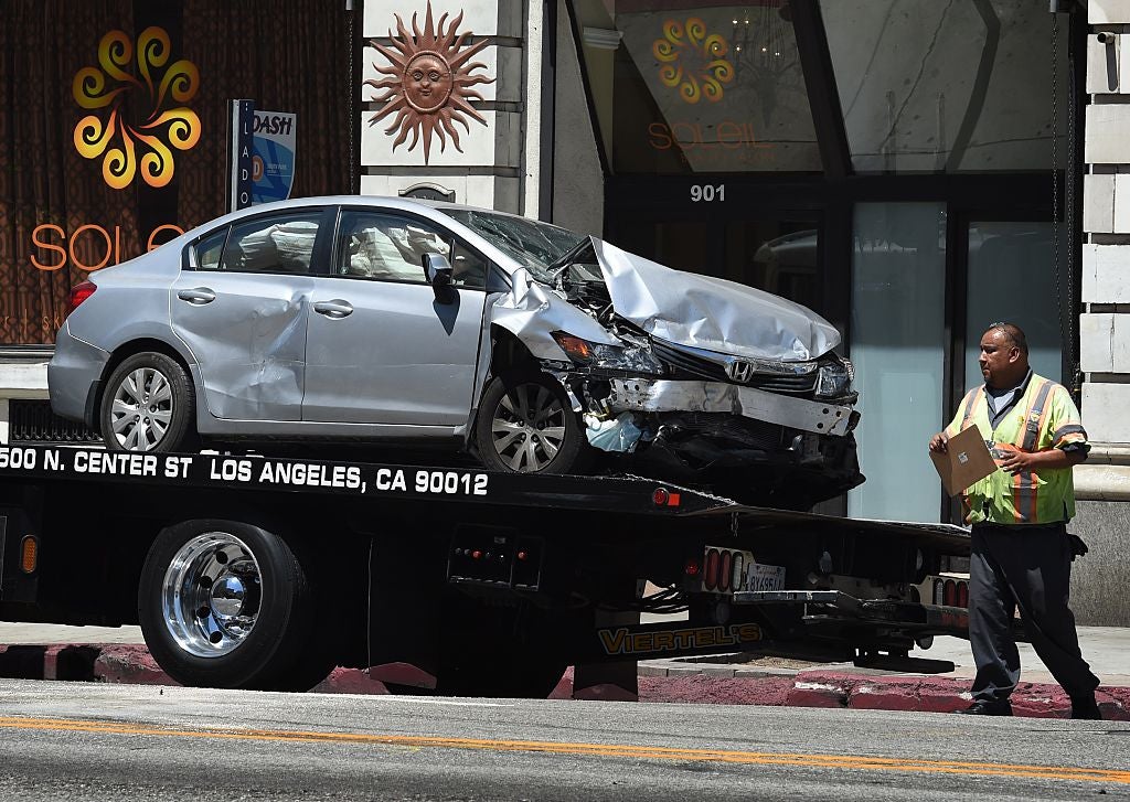Drivers filed 1.7 million animal-collision insurance claims from 2024 ...