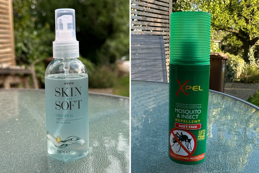 Best mosquito repellent 2026, reviewed by a travel expert | The Independent