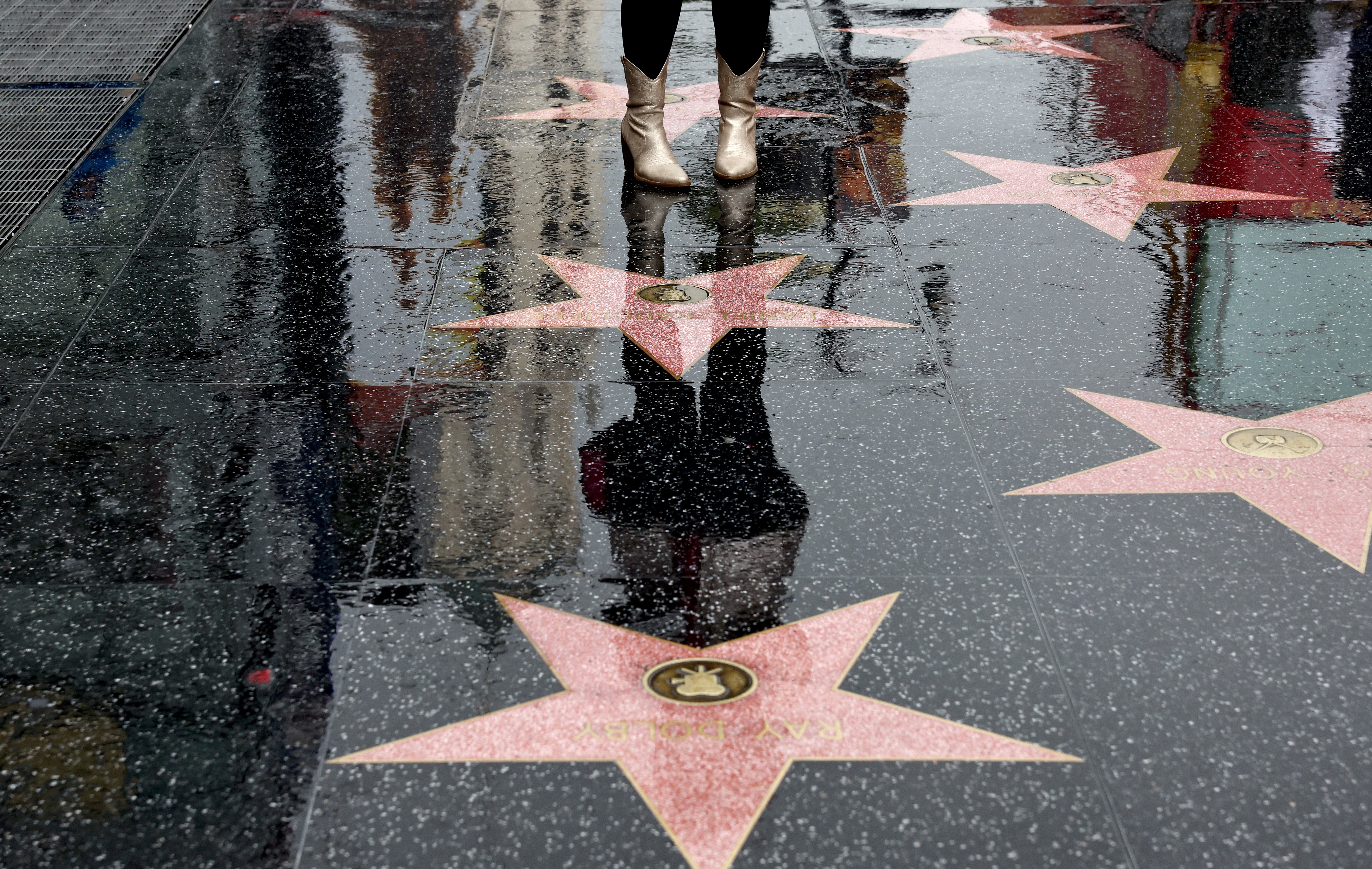 Man charged after confrontation over a dog turned deadly on Hollywood ...