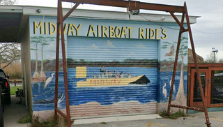 Florida man sues airboat company after alligator bites his face ...