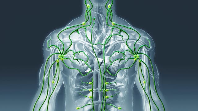 What is lymphatic drainage and does the viral health trend actually ...