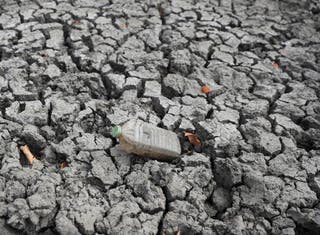 The UK food imports most at risk from ‘El Nino’ heat stress this summer ...