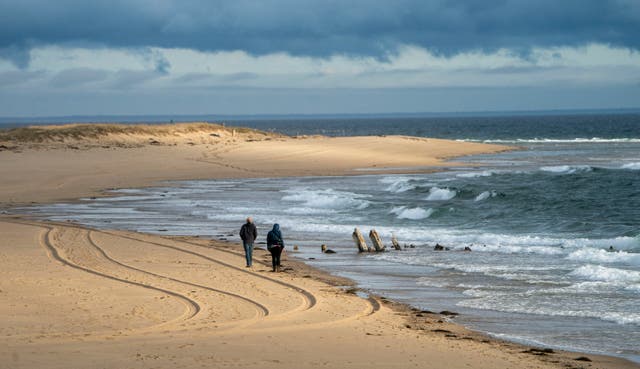 Cape Cod sees thousands of squid carcasses wash up on the beach | The ...