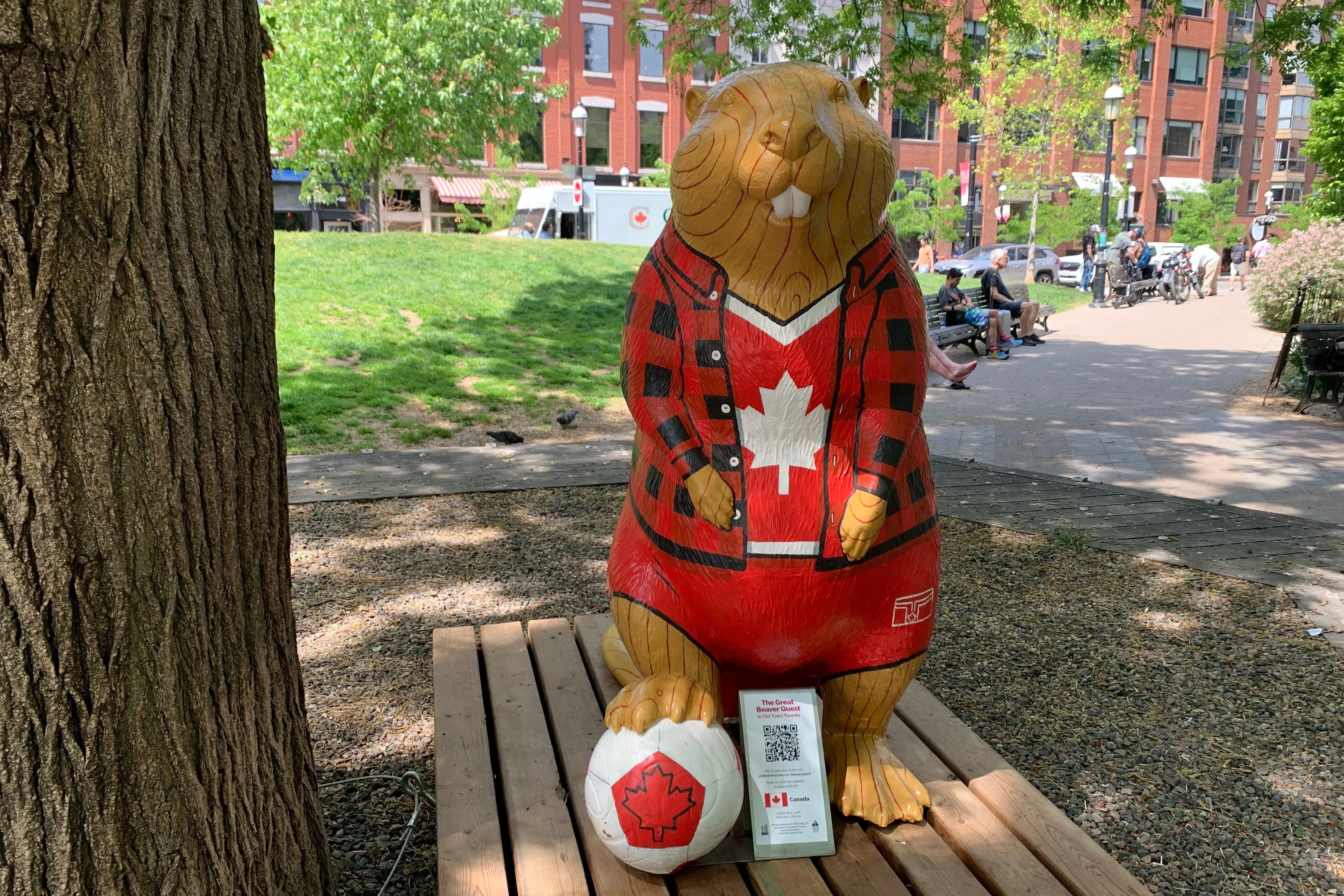 Join the beaver hunt: Toronto neighborhood offers unique World Cup ...