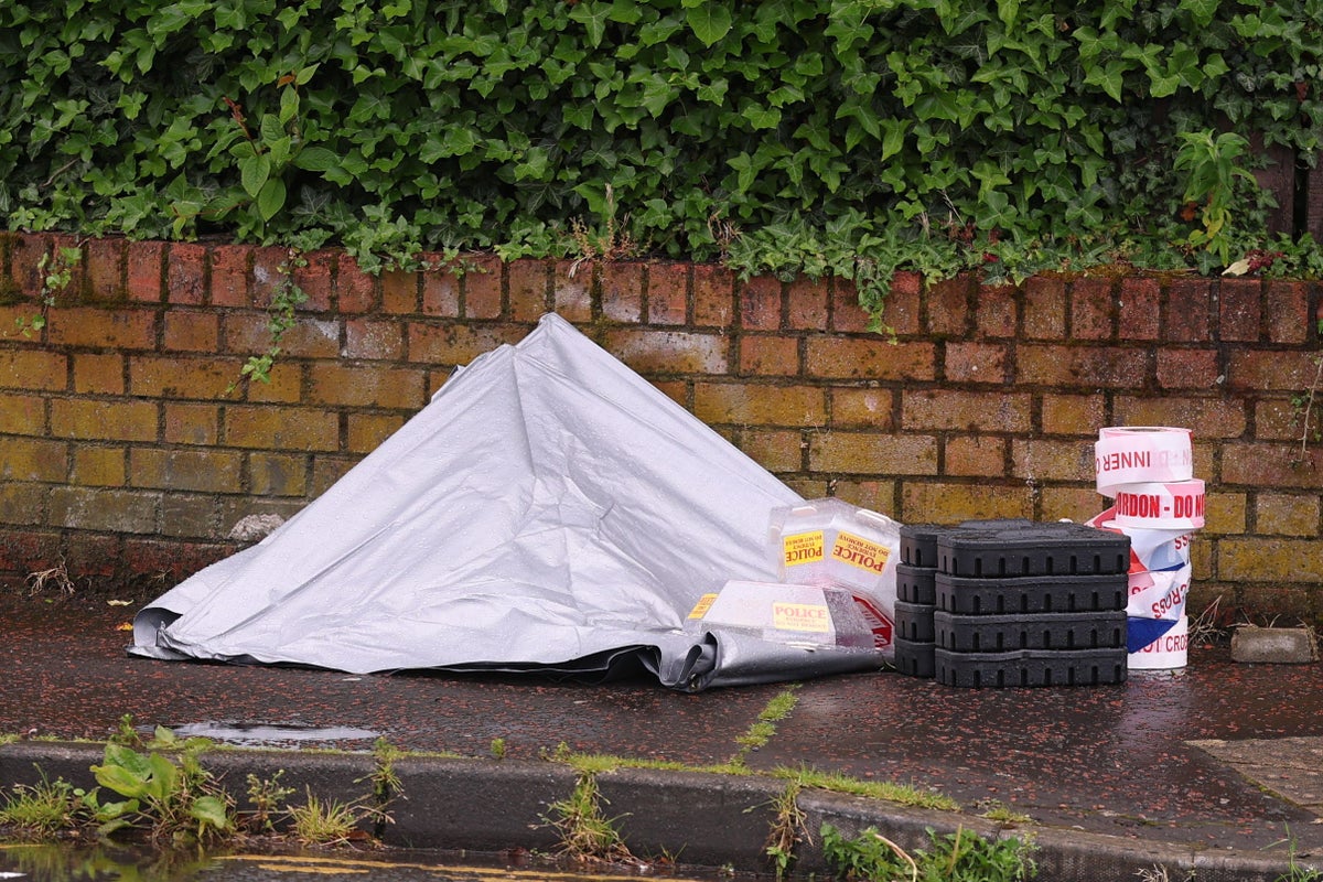 Belfast knife attack: What happened? | The Independent