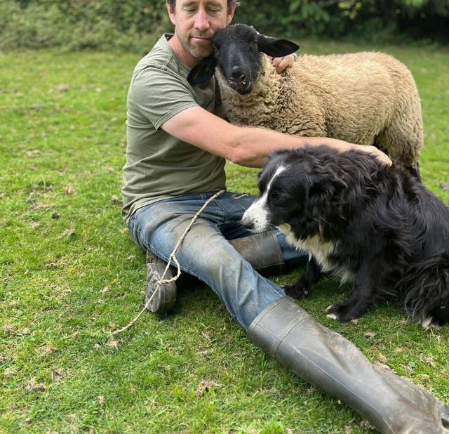 Farmer ‘mind-boggled’ after border collie dog rounding up sheep ...