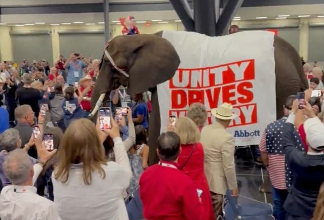 ‘They did it again’: Texas GOP brings a real elephant to a convention ...