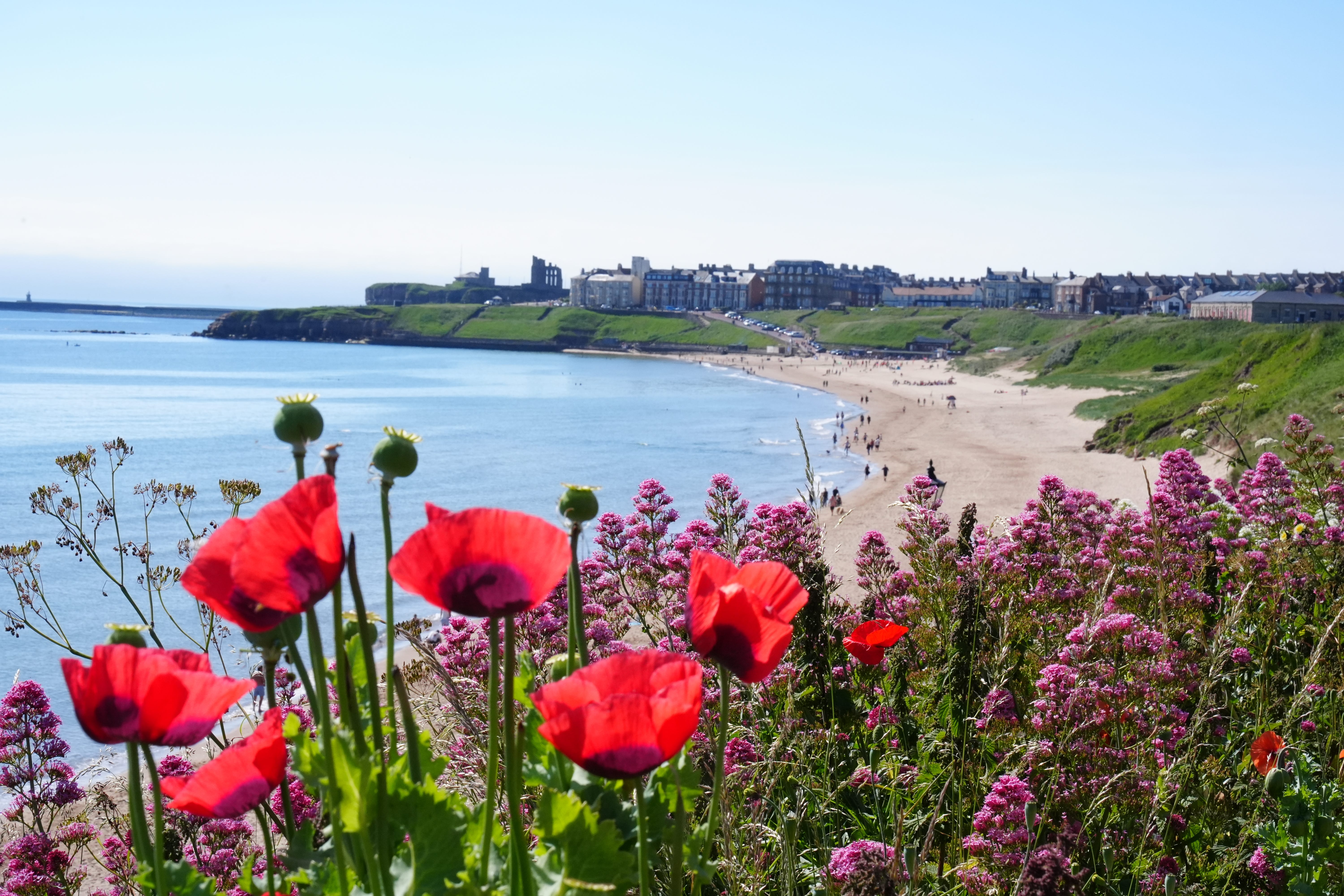 UK set to swelter in up to 38C as extreme heat warning expanded | The ...
