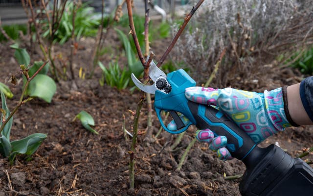Simple ways to make gardening easier as you get older | The Independent