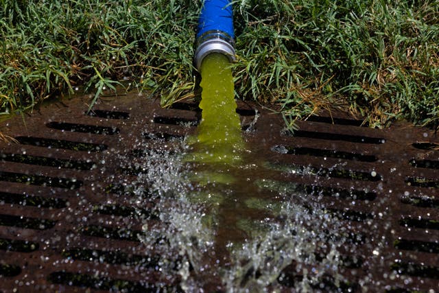 Trump blames Reflecting Pool algae on ‘vandals’ | The Independent