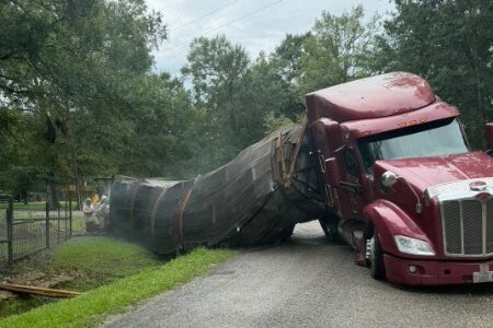 Millions of honeybees escape after semitrailer carrying hives overturns ...