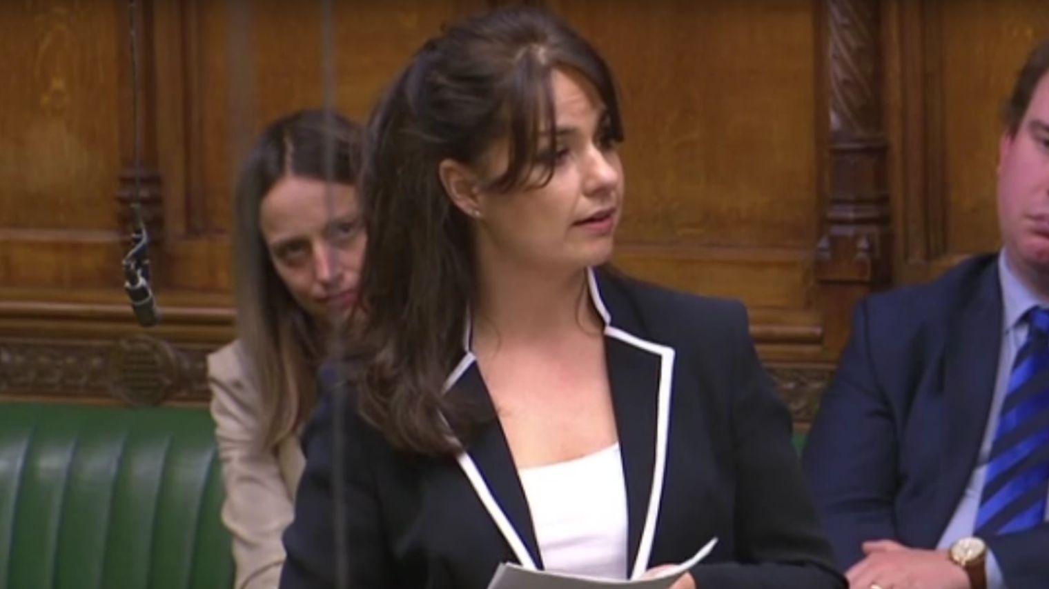 In case you missed it, Heidi Allen said all along that she wasn't ...