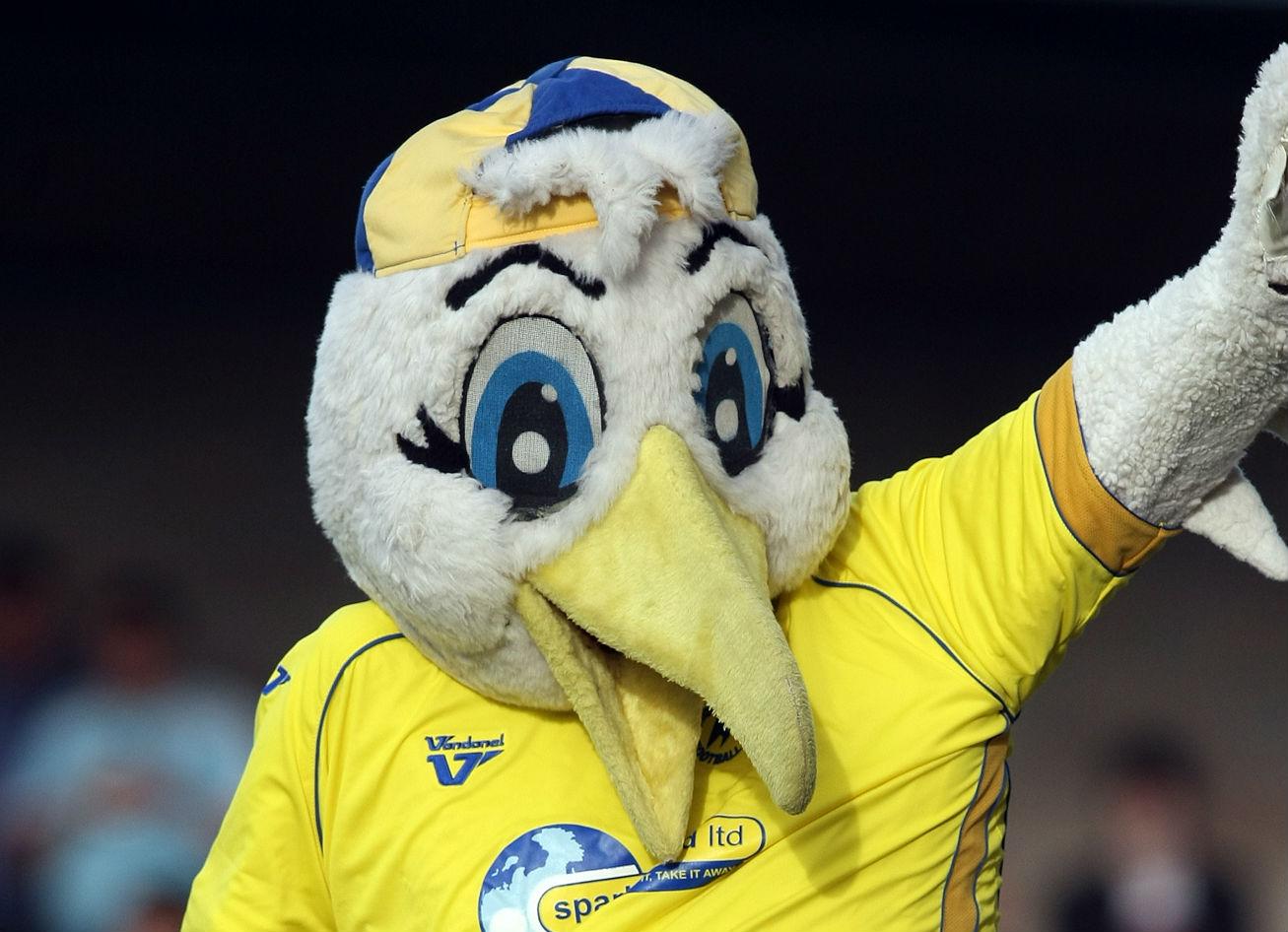 Meet Gilbert the Gull, Torquay's most controversial mascot | indy100 ...