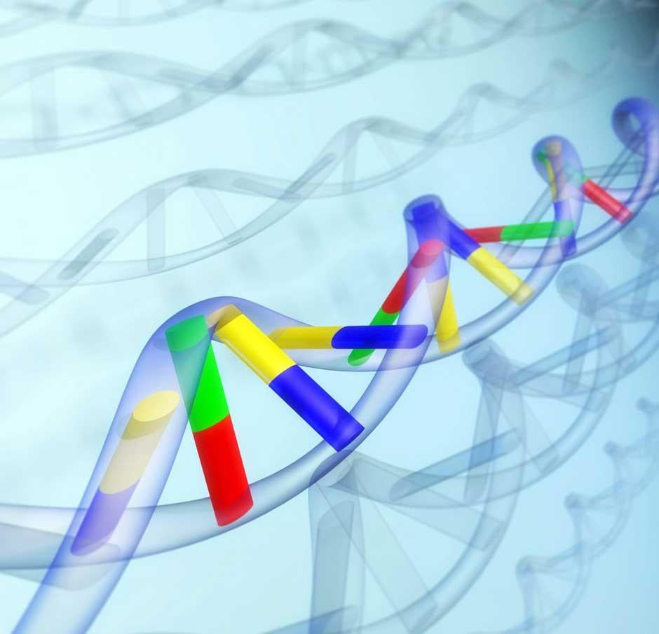 The DNA project that could make a life-or-death difference | indy100 ...