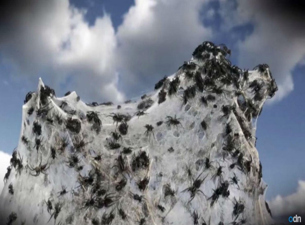 This weather phenomenon in Australia will haunt your nightmares ...