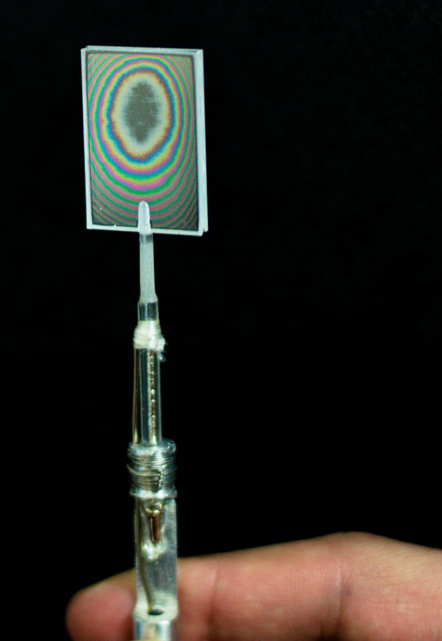 12 beautiful award-winning science photos | indy100 | indy100