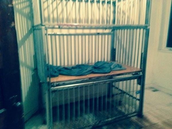 Teenager with autism found locked inside cage with door chained shut ...