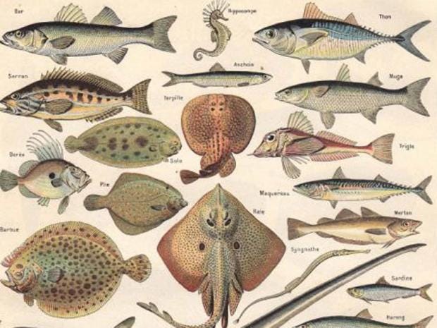 Classroom posters get a design makeover: The one-man mission to ...