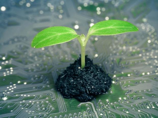 Five amazing ways plants have created new technologies | The Independent
