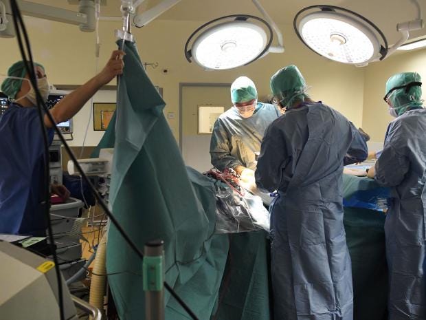 Netherlands passes bill introducing opt-out organ donation | The ...