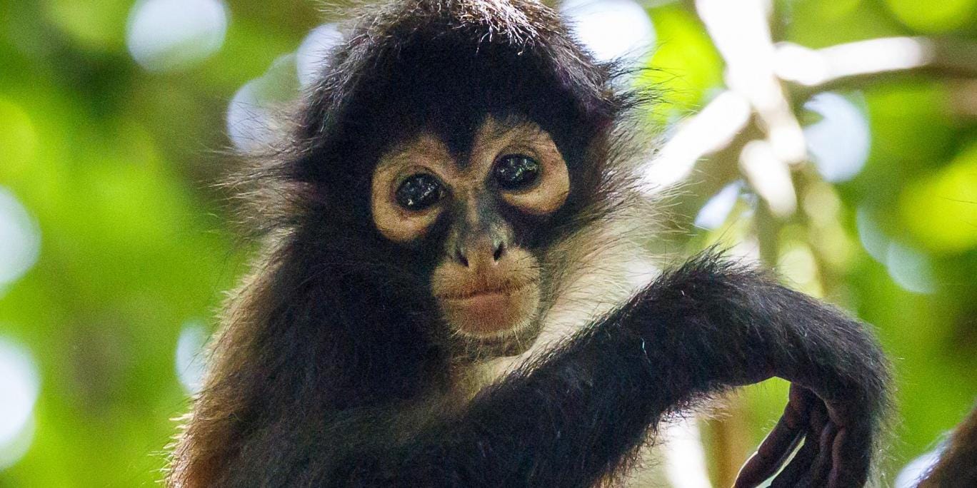 Mimi Launder | indy100