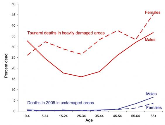 Indian Ocean Tsunami: How the natural disaster sparked a huge fertility ...