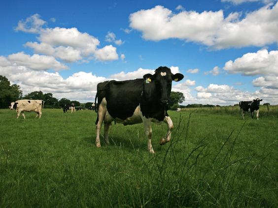 A nation of inequality: How the UK is failing to feed its most ...