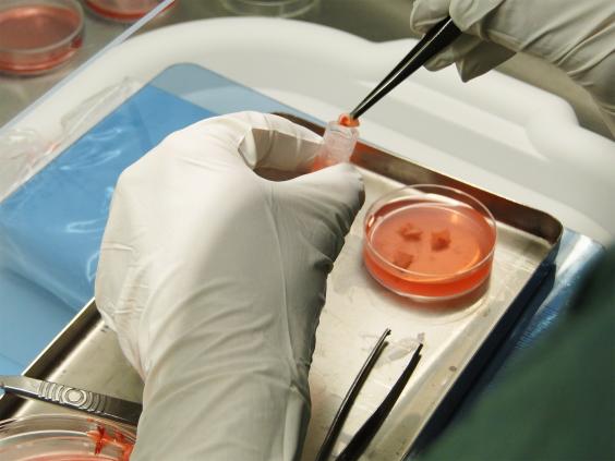 Woman gives birth to healthy baby using frozen ovary tissue taken when ...
