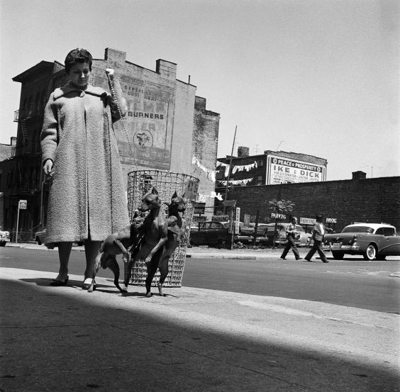David Attie (Fine Art Photographer) ~ Bio Wiki | Photos | Videos