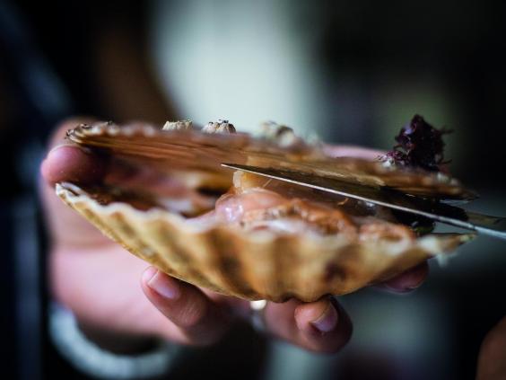 How to open scallops | The Independent