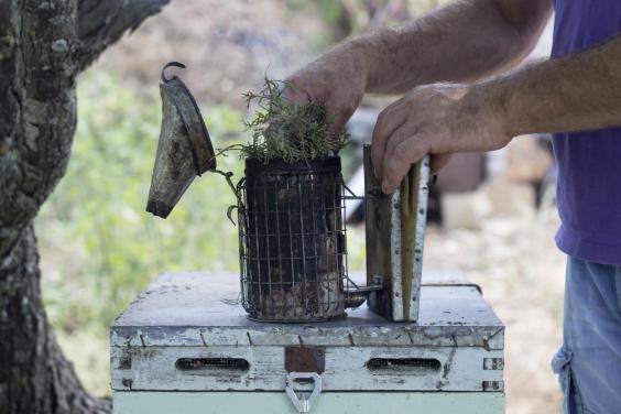 Old Perithia: Why Corfu’s ghost town is the island’s best-kept secret ...