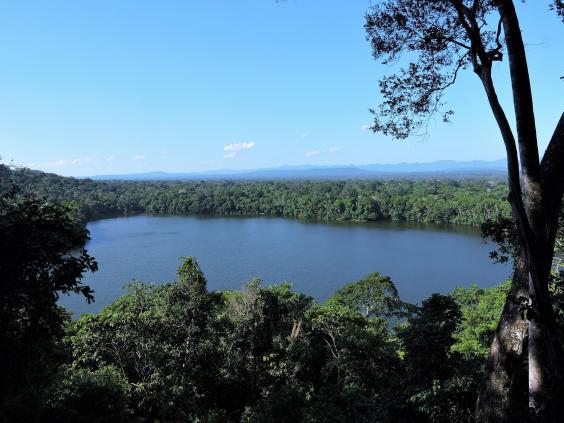 Madidi National Park: Exploring the Bolivian jungle that inspired ...