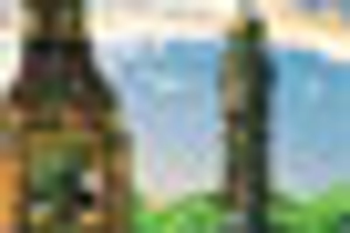 Life after man: a vision of the future | The Independent | The Independent