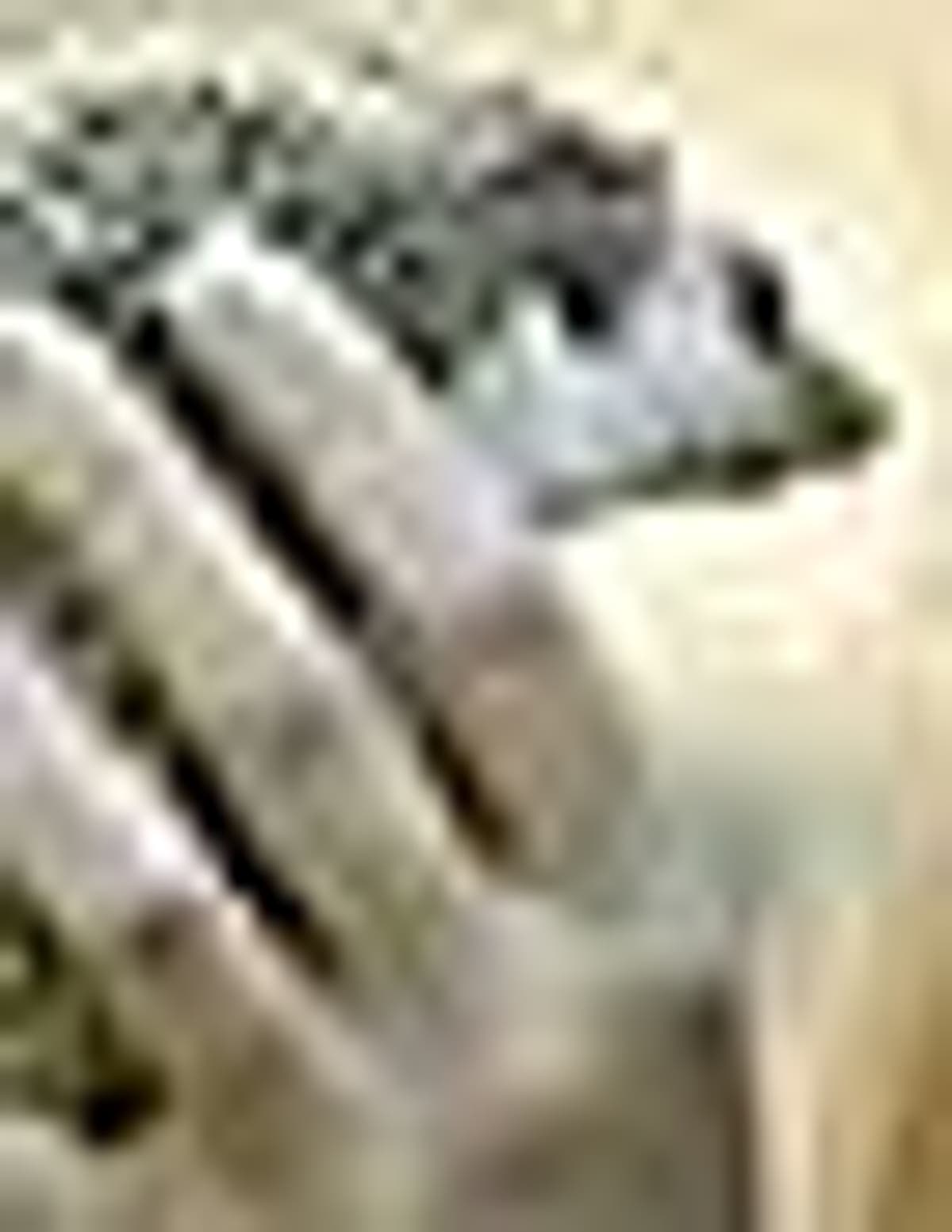 Secrets of the ancient masterchefs: How to roast a hedgehog (& other ...