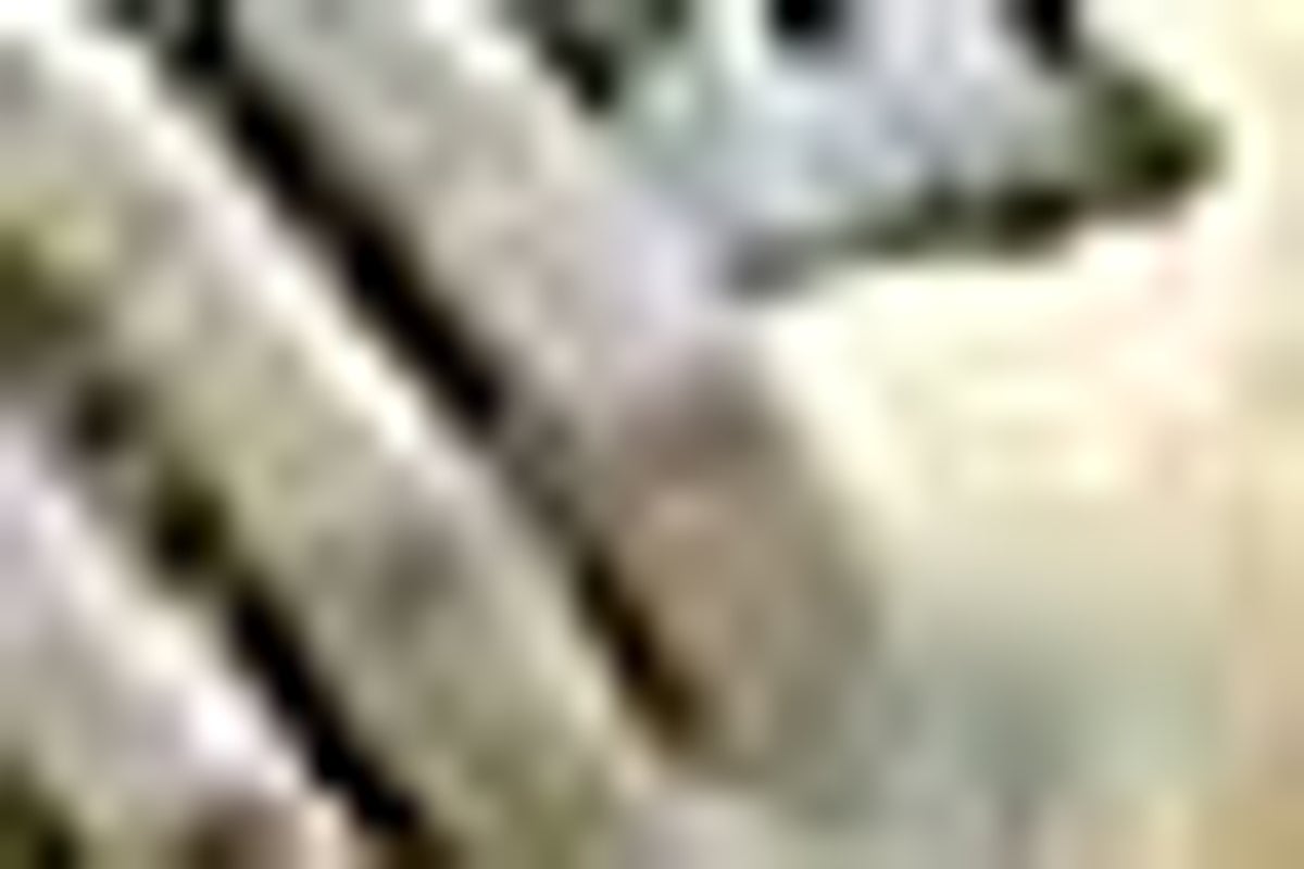 Secrets of the ancient masterchefs: How to roast a hedgehog (& other ...