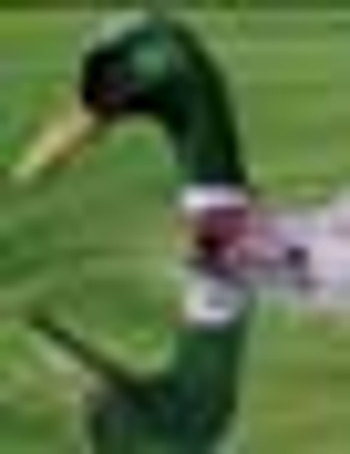 Why farmed ducks endure worse conditions than battery hens | The ...