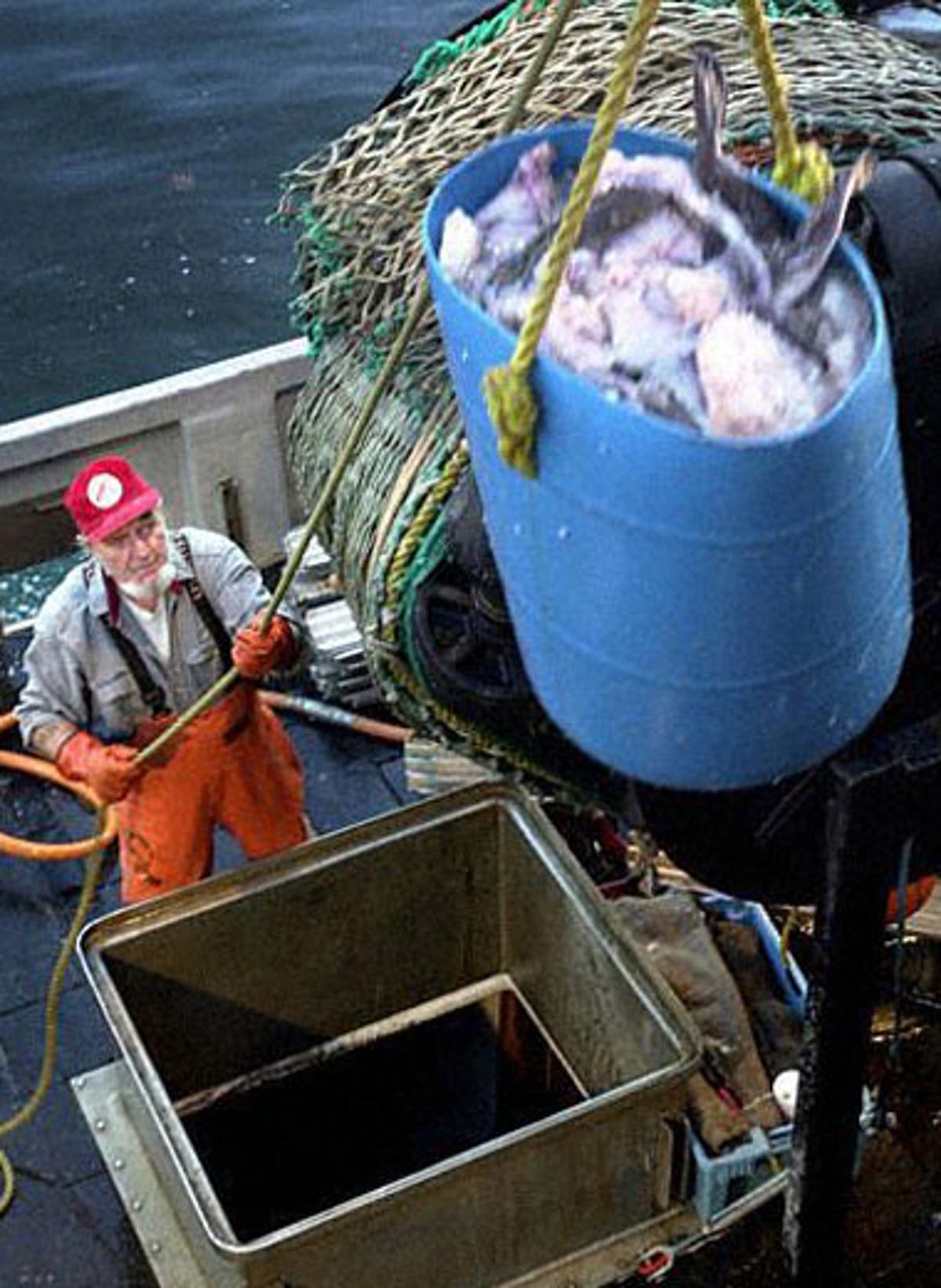 Trend for deep-sea trawling puts rare fish species on the ocean's ...