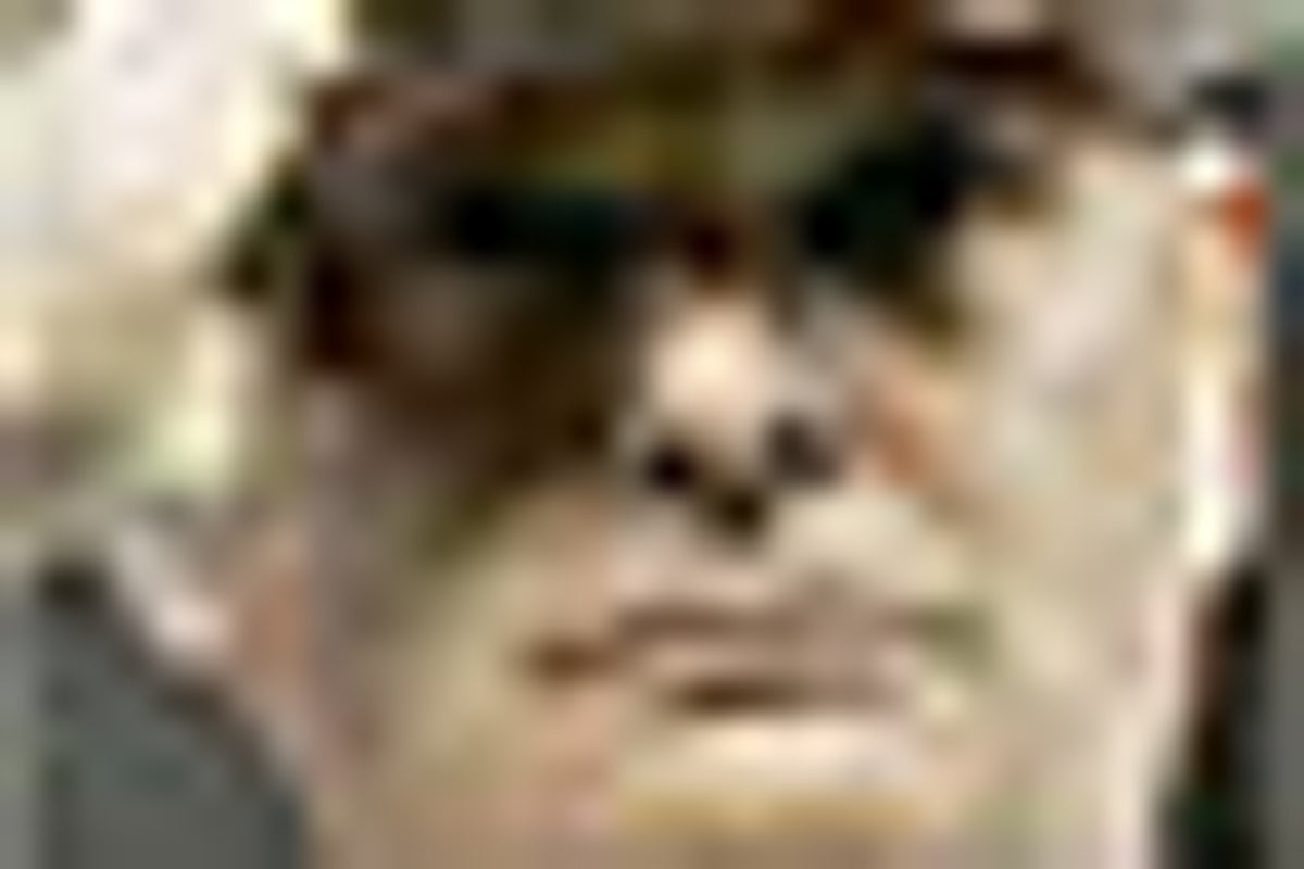 Gazza: A cry for help | The Independent | The Independent