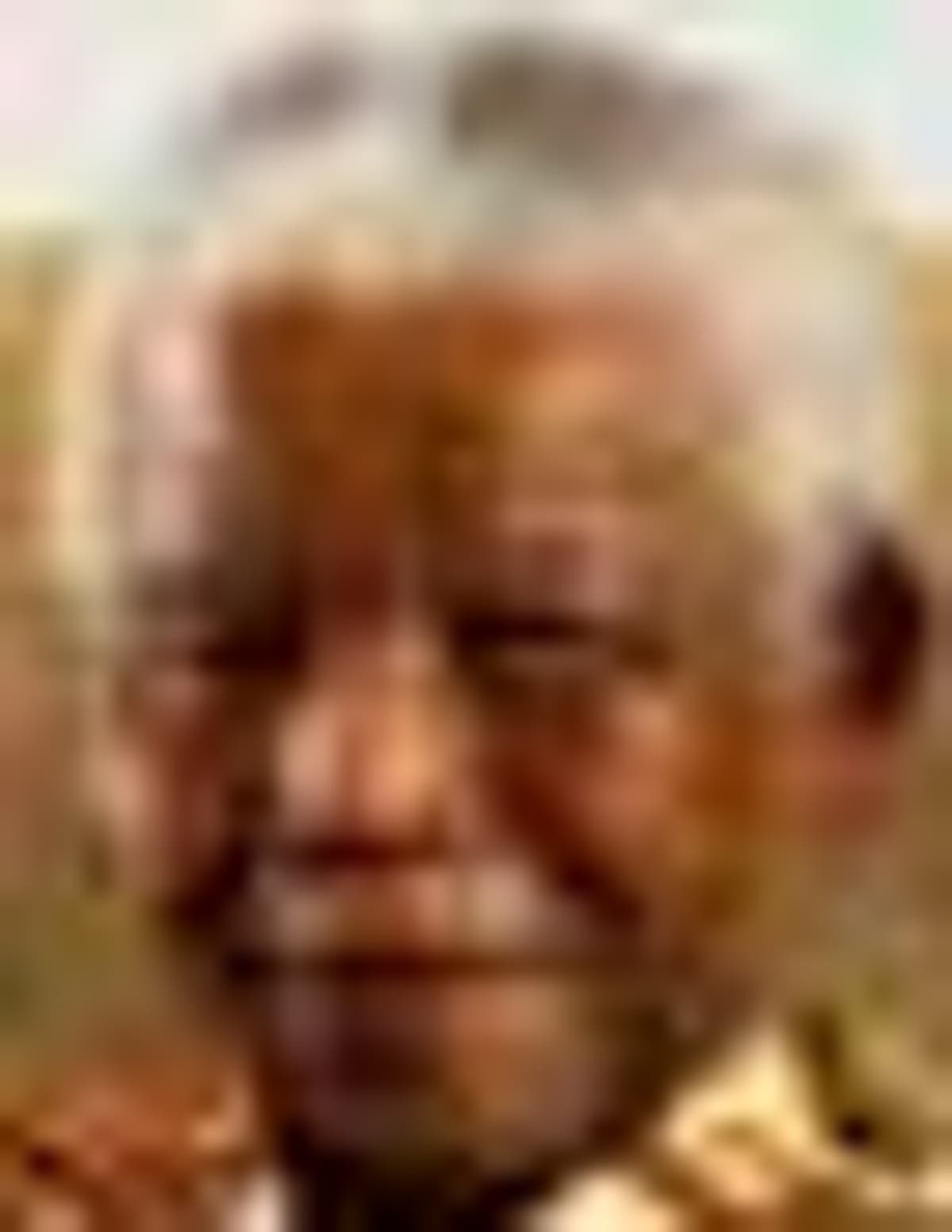 Mandela and Botha: The crocodile & the saint | The Independent | The ...