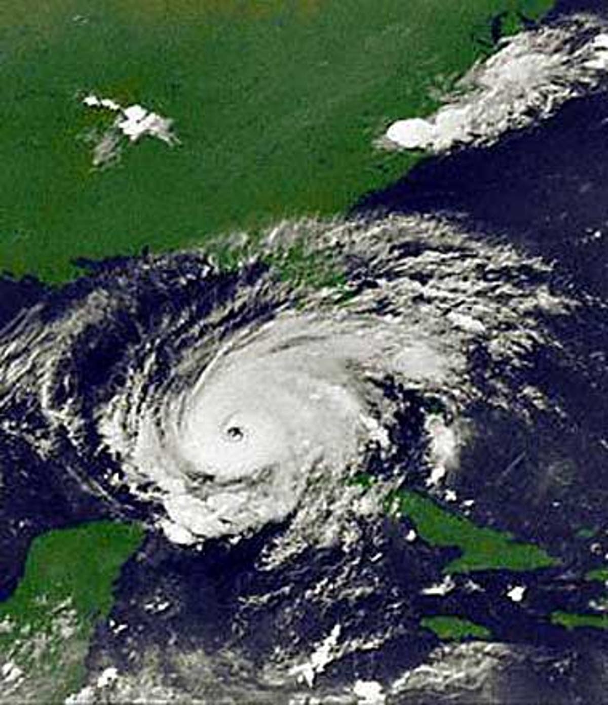 Driven to Texas by Katrina, the displaced of New Orleans now must flee ...