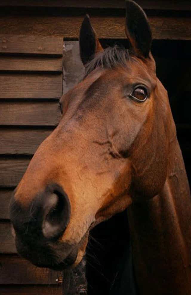 Richard Edmondson | The Independent