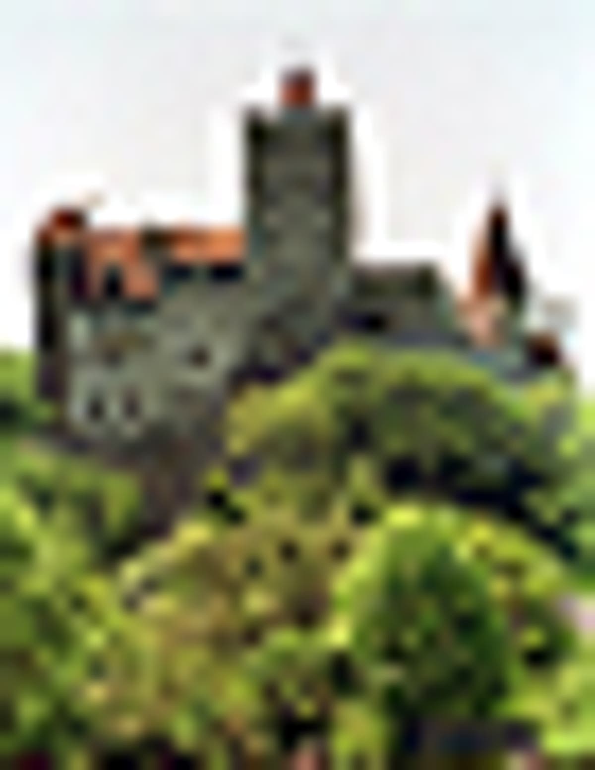 The real vampire slayers | The Independent | The Independent