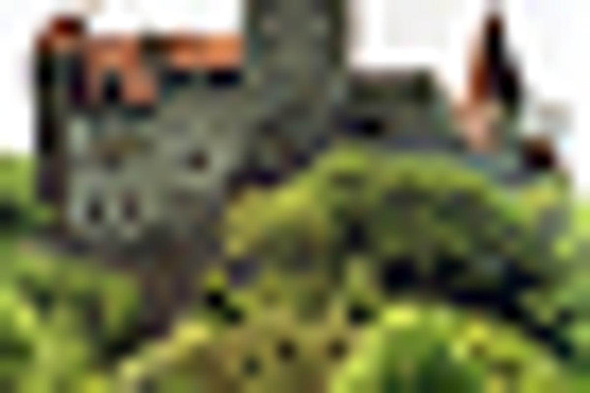 The real vampire slayers | The Independent | The Independent