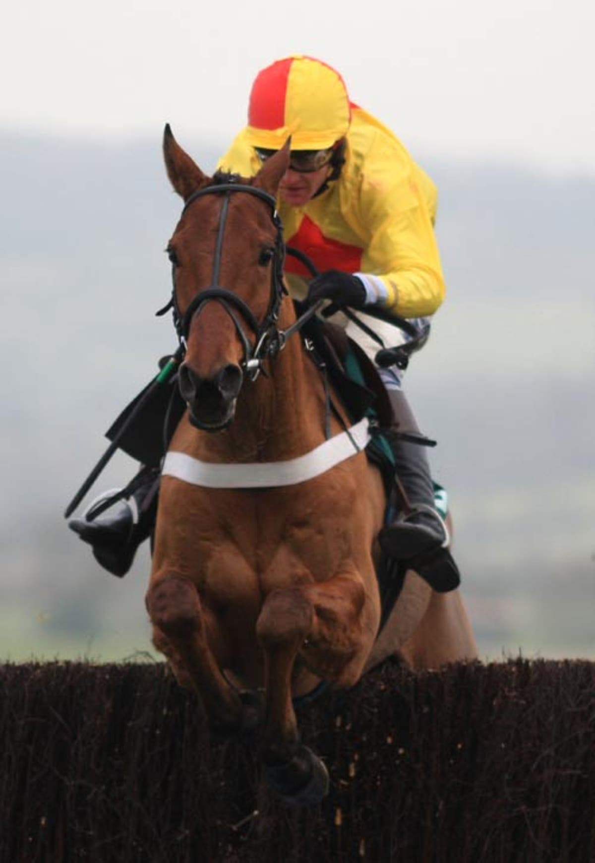 Tizzard has big race target for Joe Lively | The Independent | The ...