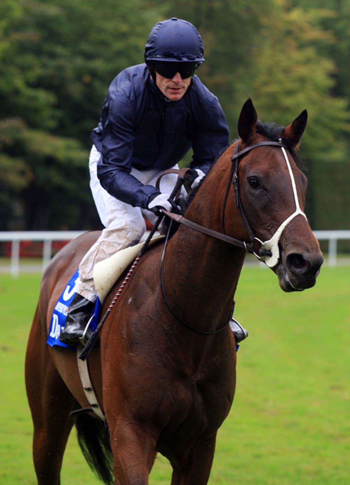 Lessons dictate that Fallon's talents face a tough test in transition ...