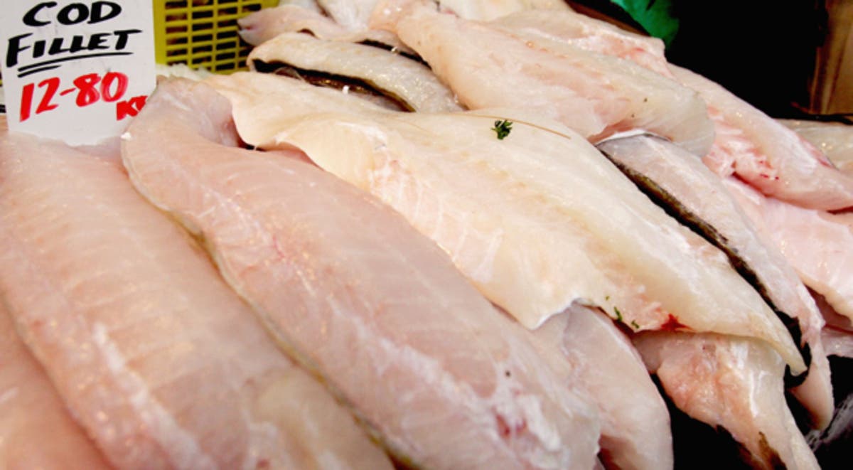 World's first organic cod farm battles to stay afloat | The Independent ...