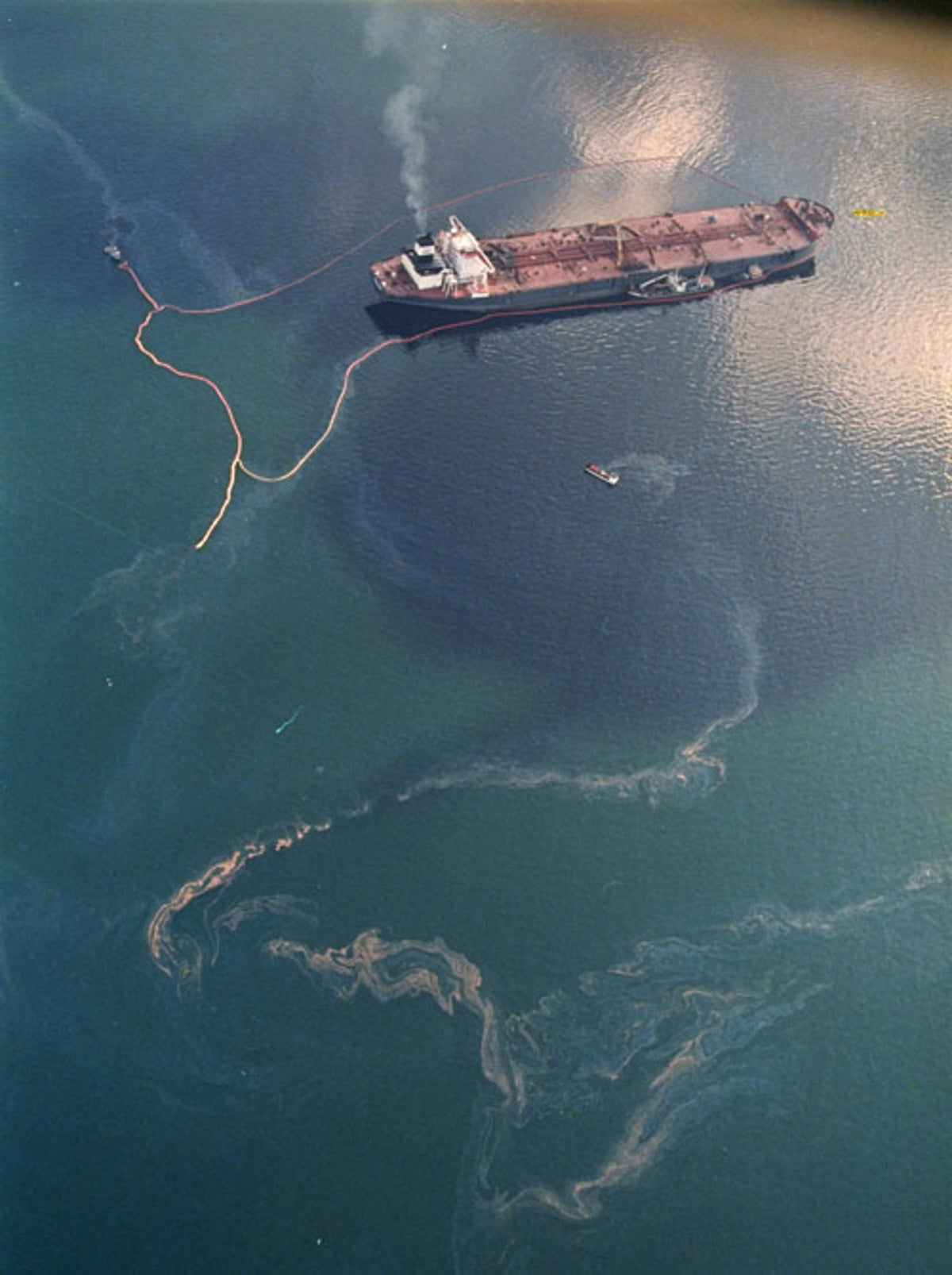 Exxon Oil Spill Seals