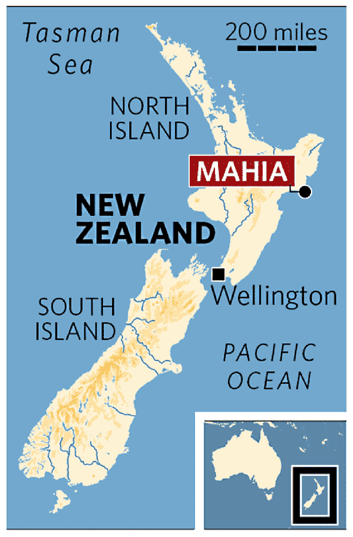 Save the whales: How Moko the dolphin came to the rescue of a mother ...