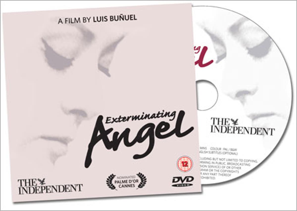 Free award-winning DVD with the print edition | The Independent | The ...